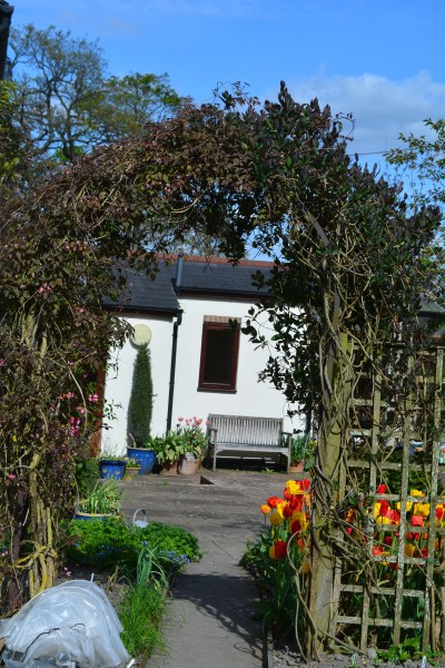Celebrating the Glory of Spring – the garden at a cottage called ...