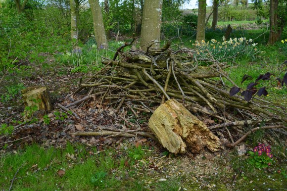 Celebrating the Glory of Spring – the garden at a cottage called ...